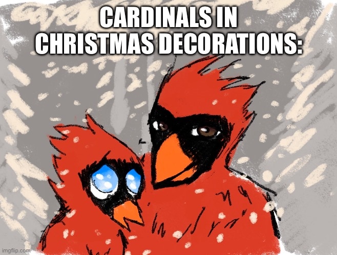 I made a cursed bird meme - Unvale